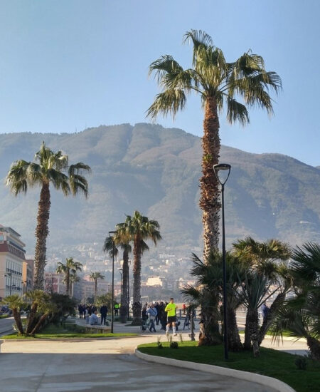 ECORAYS | Urban LED lighting fixture | AEC Illuminazione